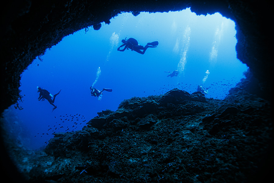 Research Fellowship - Institute for Marine Research